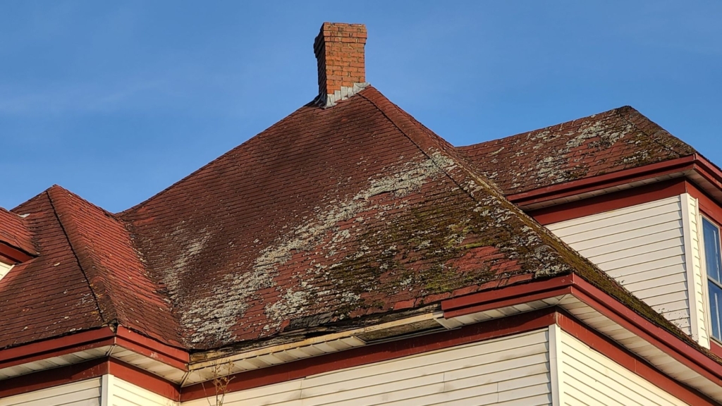 Easy Ways to Remove Mold from Your Roof: Keeping Your Home Safe and ...