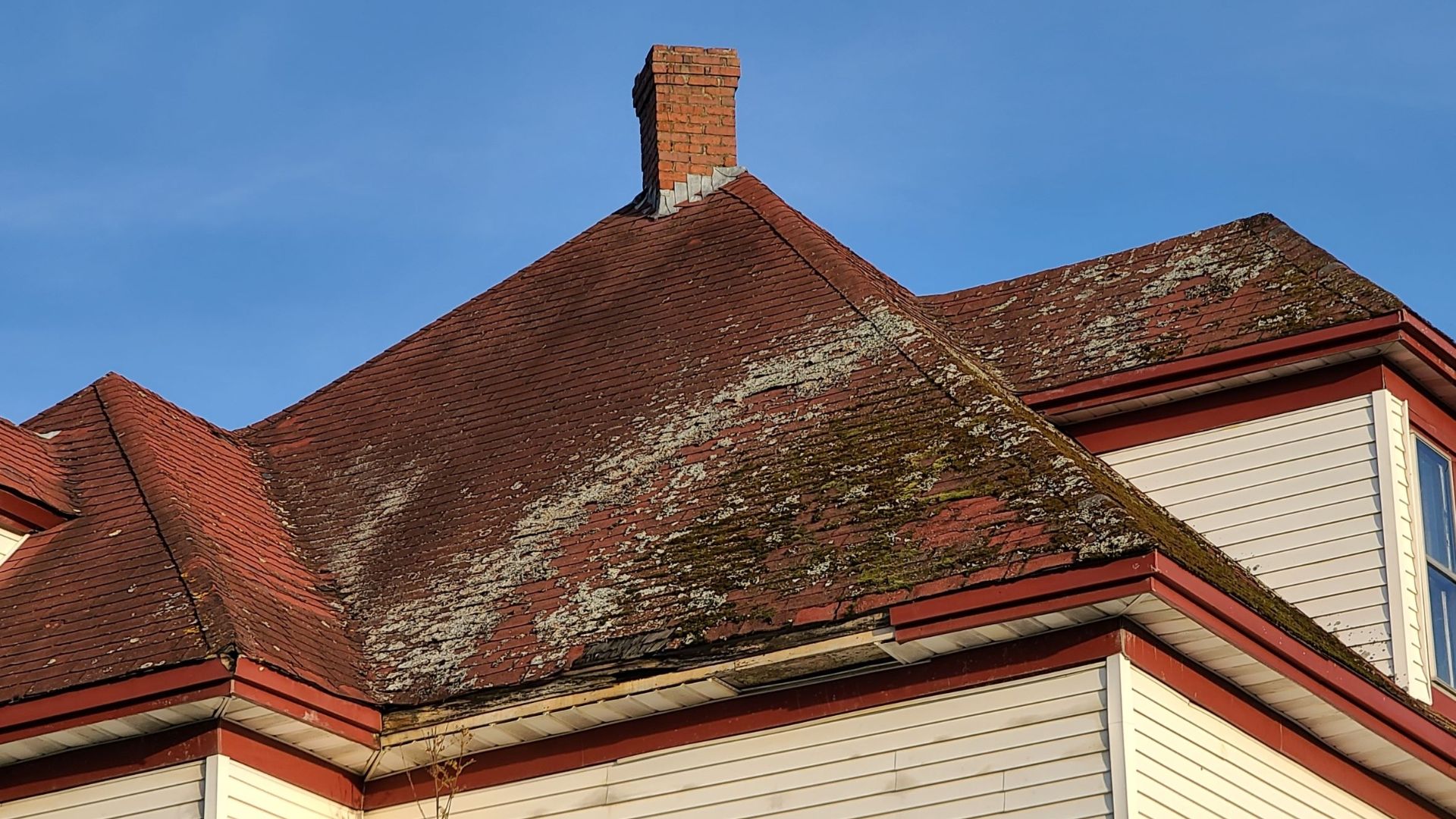 Easy Ways to Remove Mold from Your Roof: Keeping Your Home Safe and ...